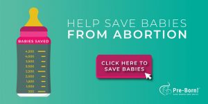 CSN Radio - CSN Radio